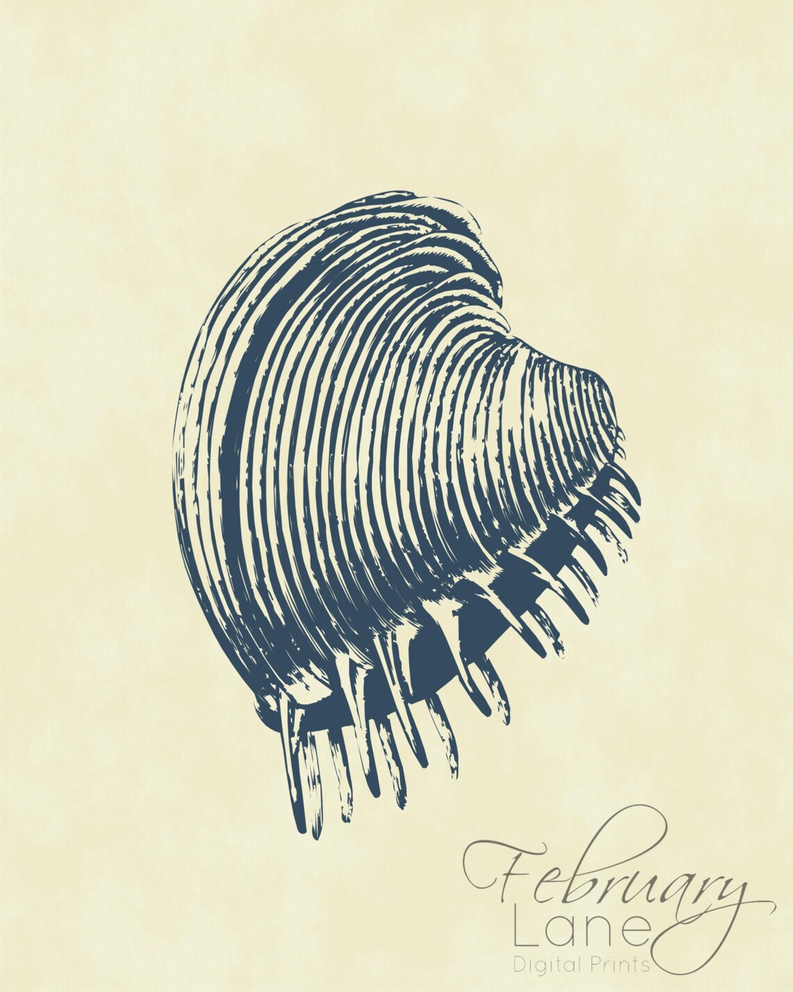 Sea Shells set of 4 8x10 Cream Navy Blue Beach Ocean | Etsy