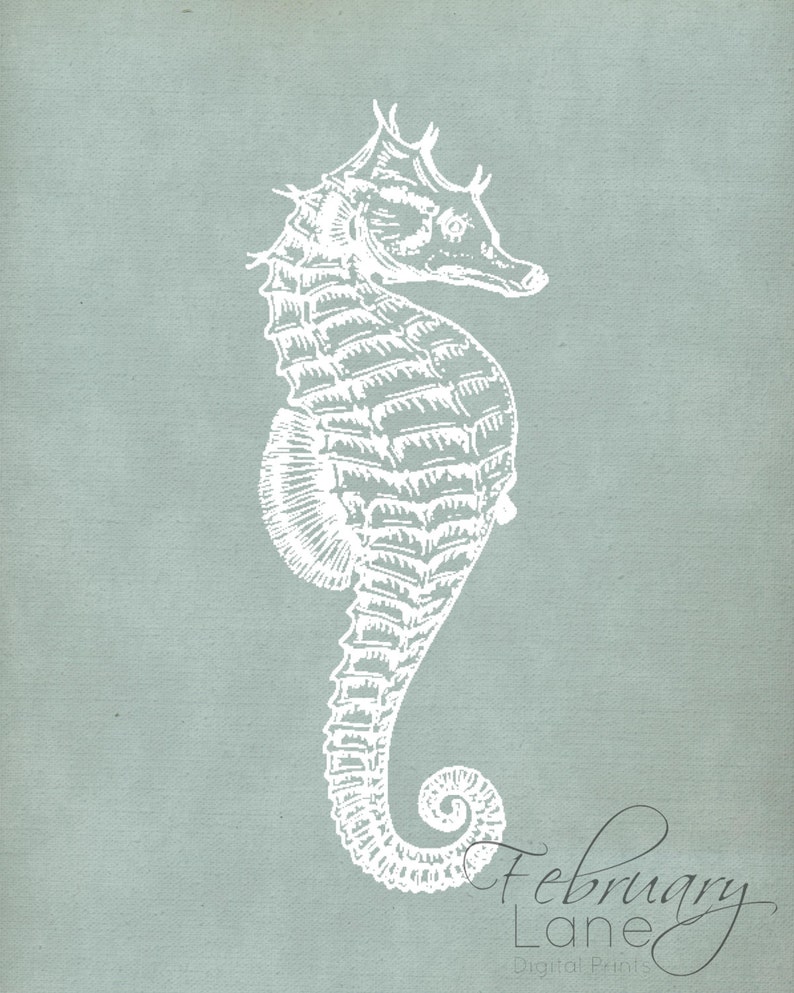 Nautical Creatures - 8x10- Starfish Blue Sea Shell Beach Ocean Instant ...