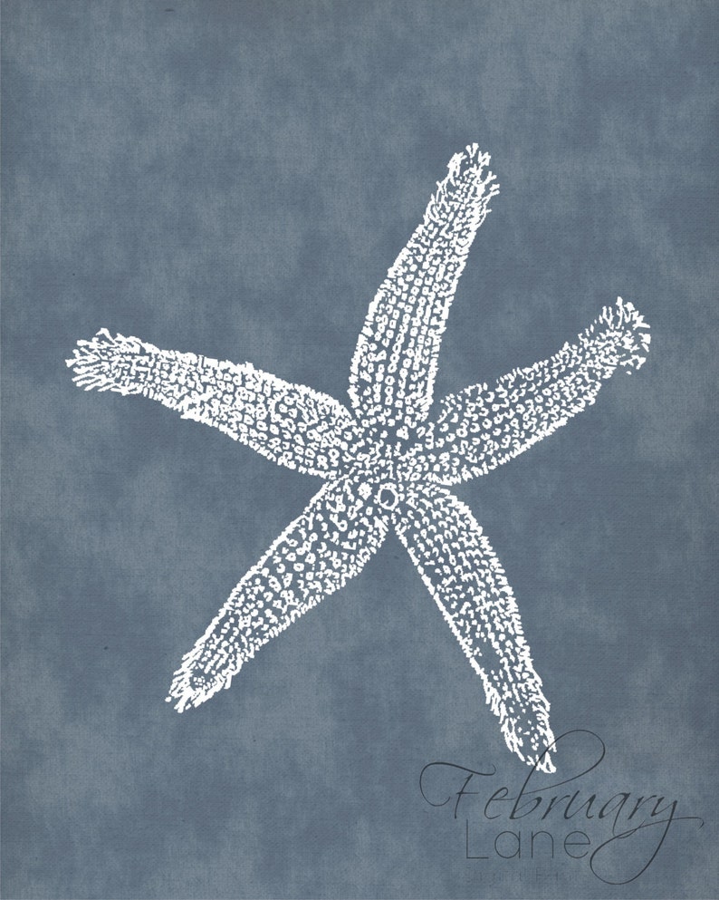 Nautical Creatures Navy Blue -8x10- Starfish Sea Shell Beach Ocean ...