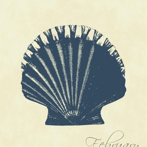 Sea Shells set of 4 8x10 Cream Navy Blue Beach Ocean - Etsy