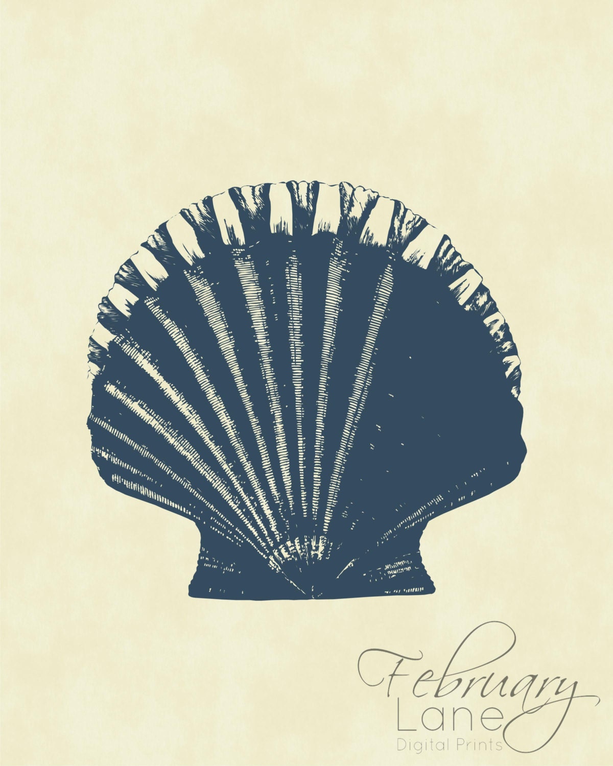 Sea Shells set of 4 8x10 Cream Navy Blue Beach Ocean - Etsy