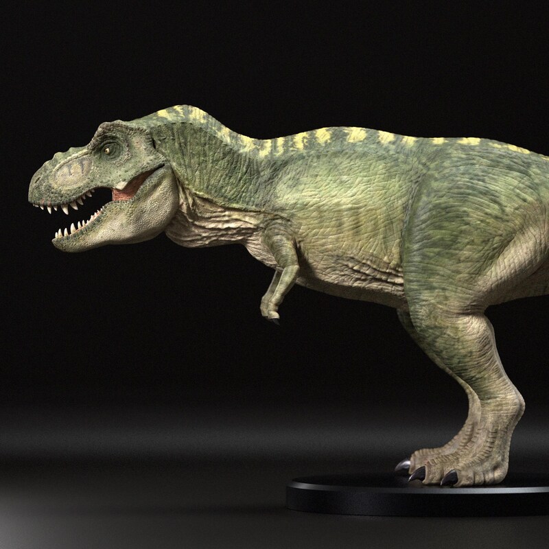 Hammond Collection Buck T Rex - Etsy