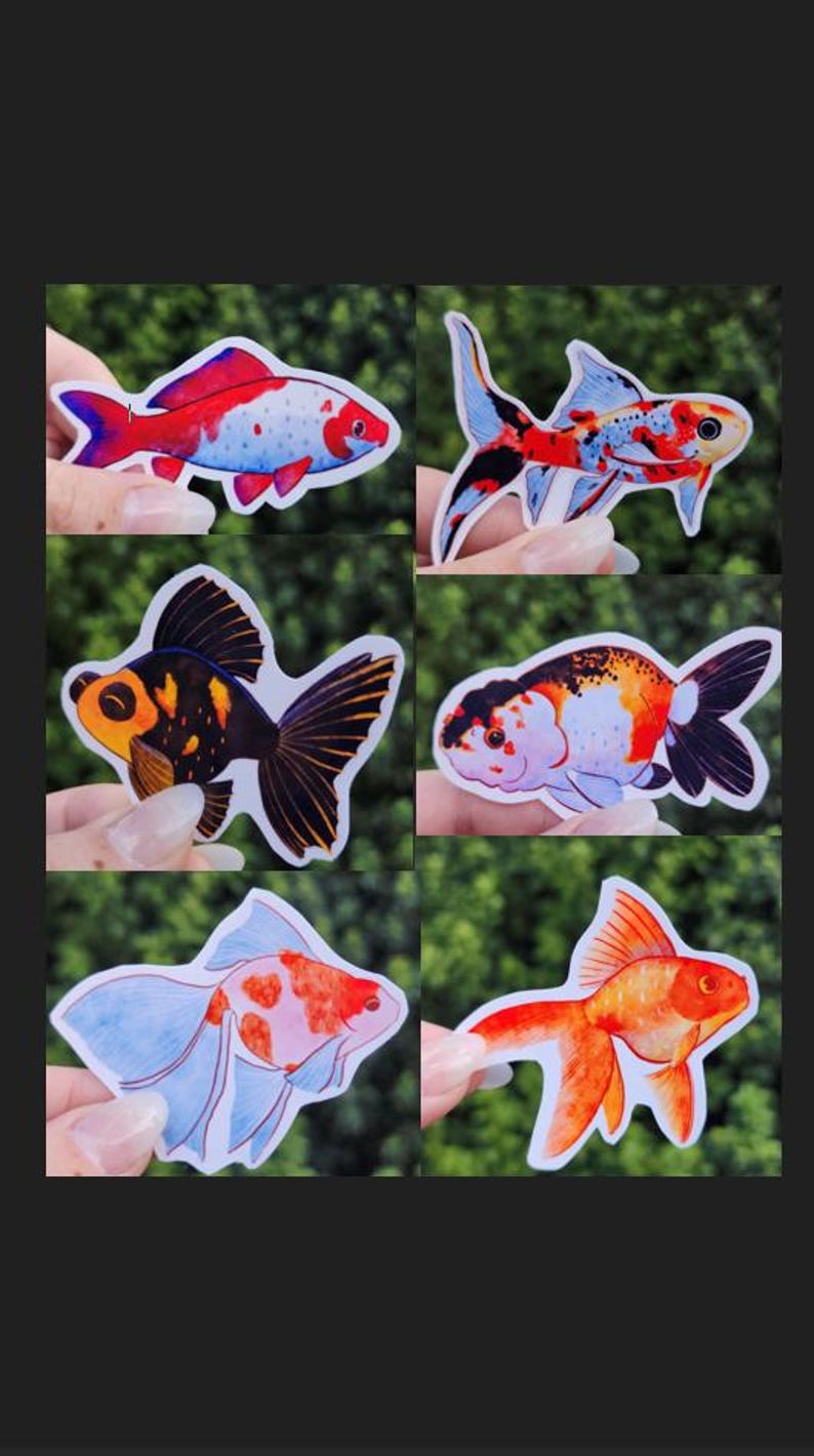 Goldfish Sticker Set: Watercolor Decals, Water-resistant, 6-piece ...