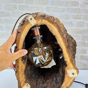 Rustic Hollow Oak Log Lamp – Natural Tree Bark Light With Warm Ambient ...