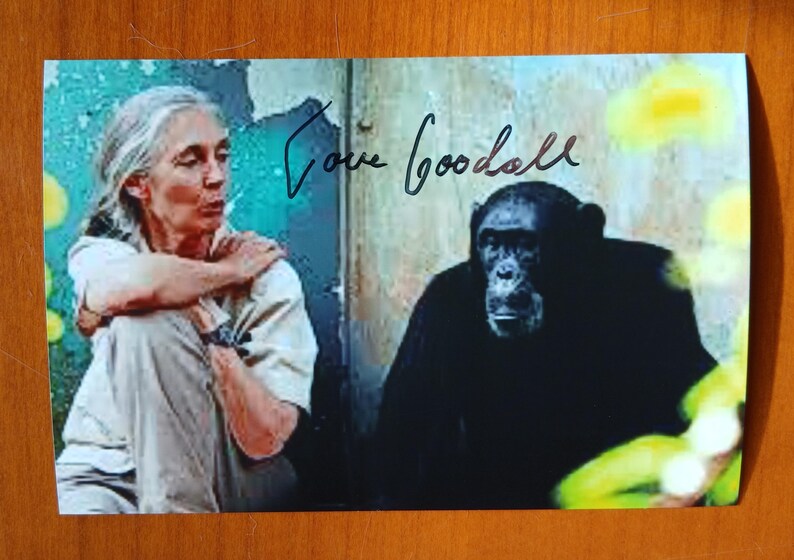 Jane Goodall, the Chimp Island, Signed Autographed Photo 6x4 In - Etsy