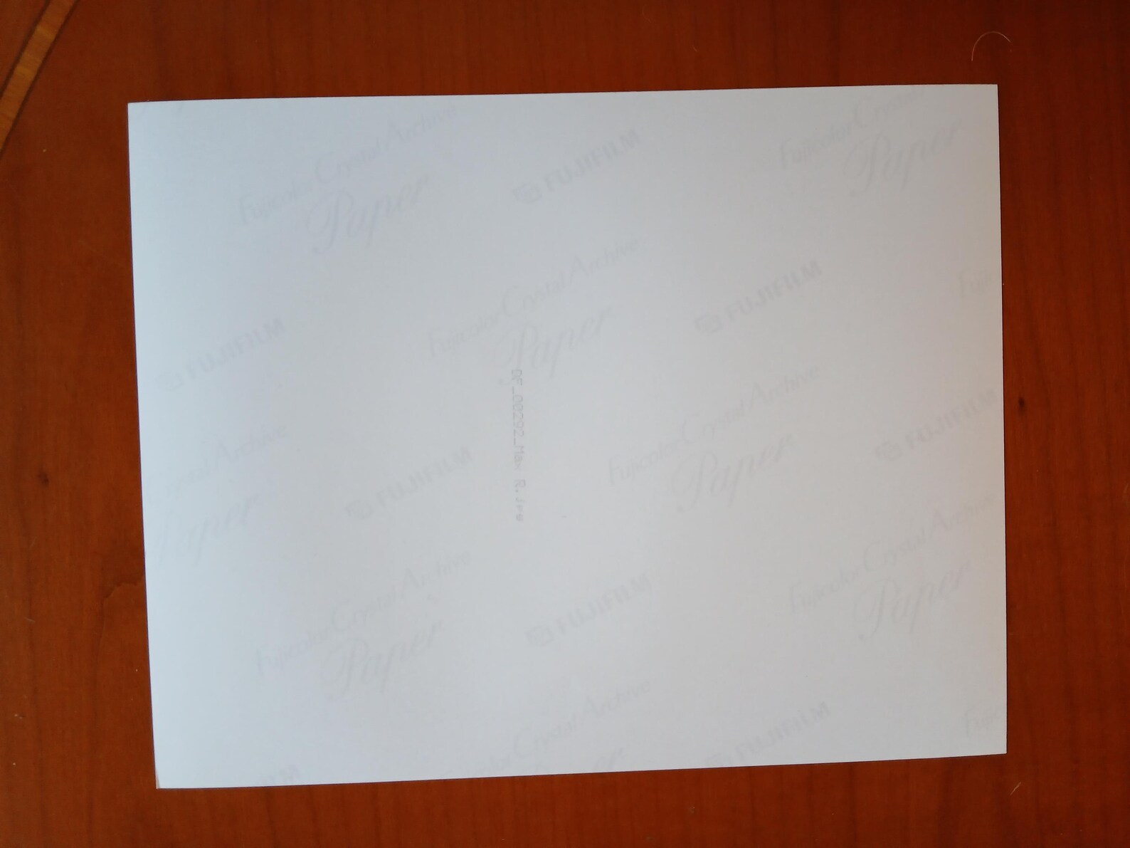 Lin Shaye, Snakes on a Plane, Autograph Original Signed 10x8 Inch Photo ...