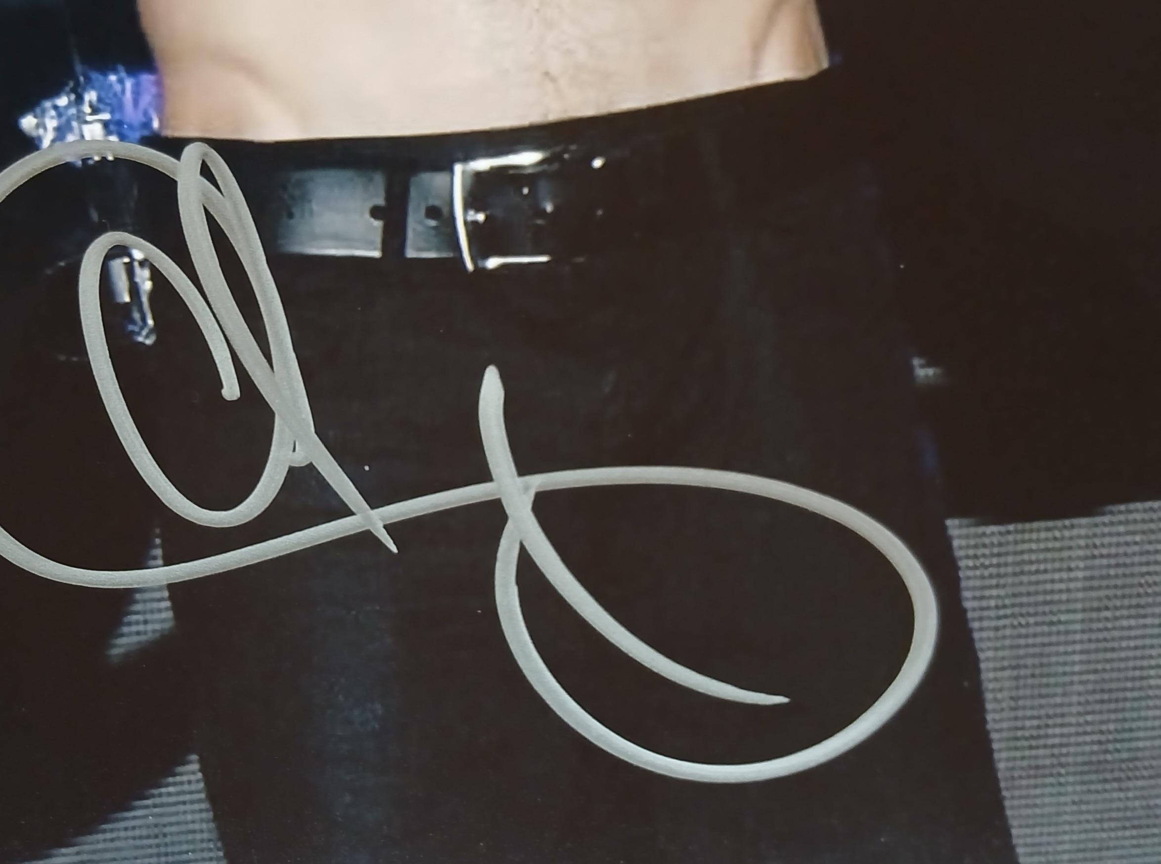 Chester Bennington, Linkin Park: One More Light, Autographed Signed ...