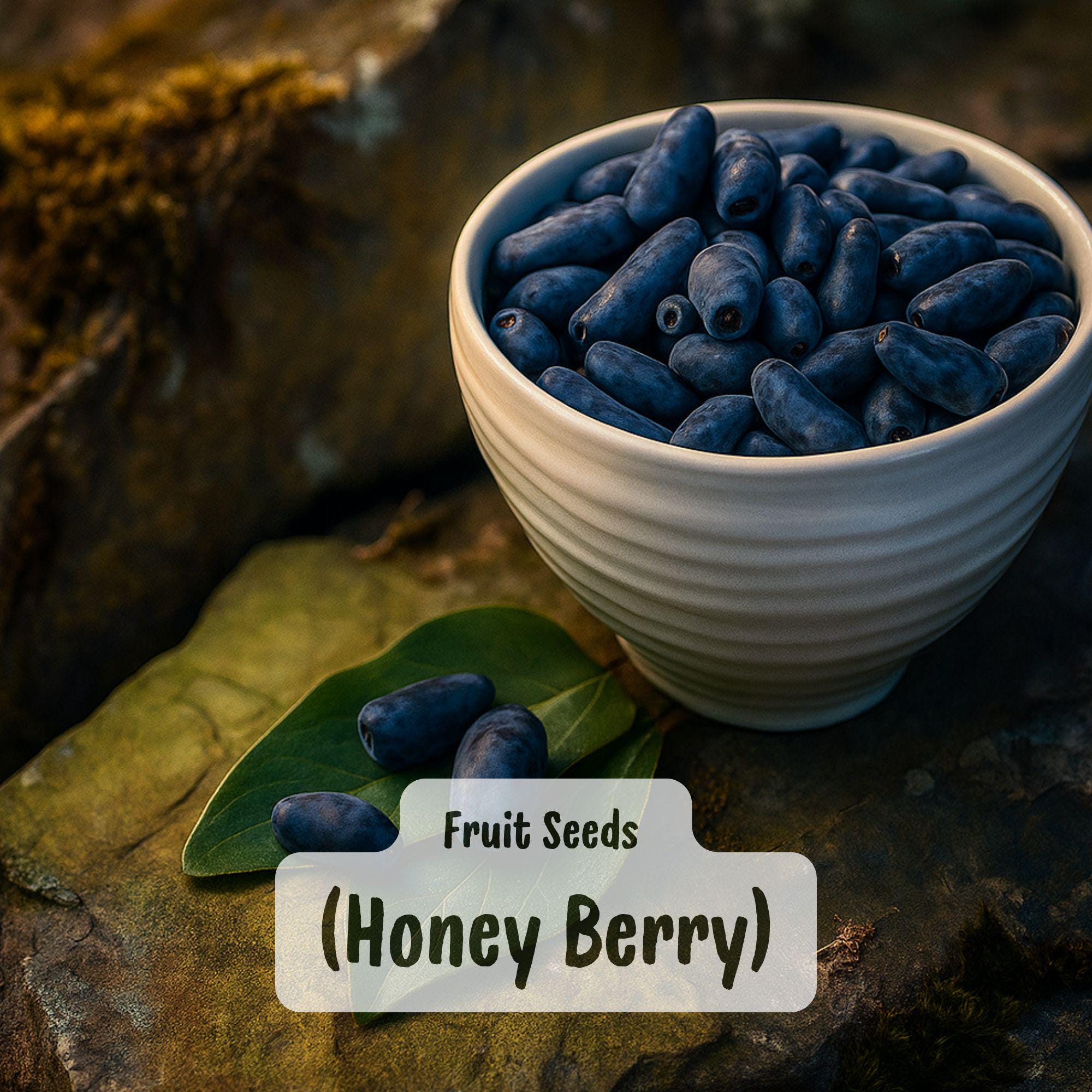 Honey Berry (5) Seeds: Lonicera Caerulea Edulis, Hardy Edible Blue ...