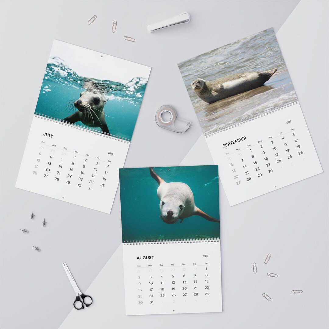Seal Calendar 2026 | Ocean Animal Wall Decor - Etsy Canada