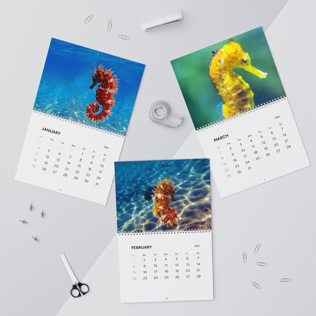 Seahorse Calendar 2026 Wall Calendar | Cute Ocean Seahorse Art ...