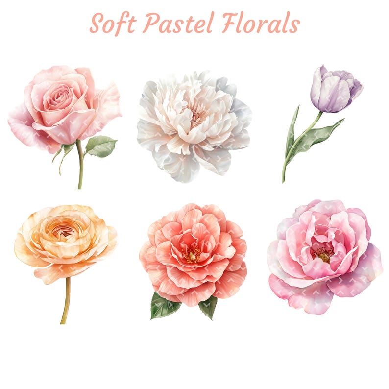 Floral Watercolor Png Clipart Set Soft Pastel Flowers Digital Flower ...