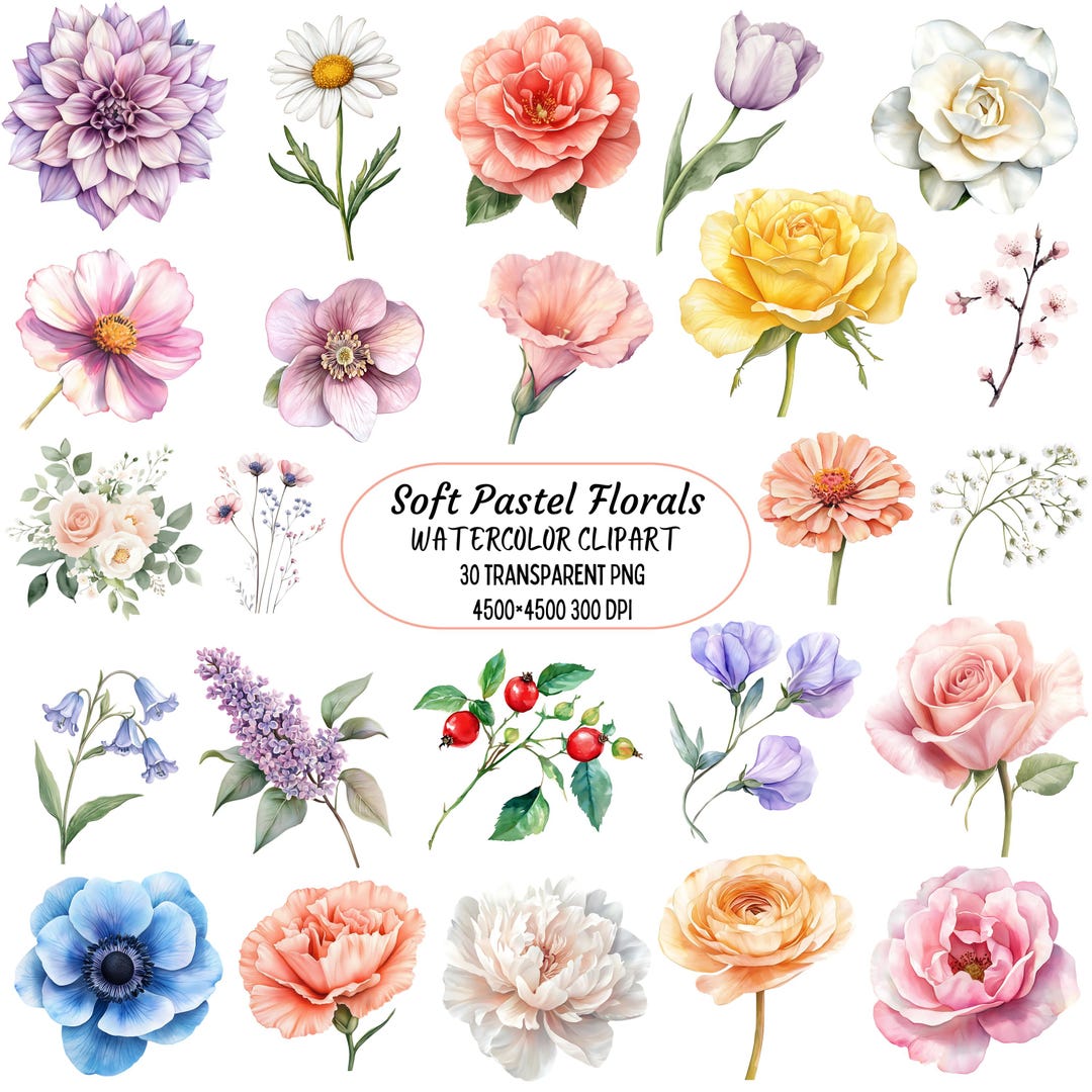 Floral Watercolor Png Clipart Set Soft Pastel Flowers Digital Flower ...