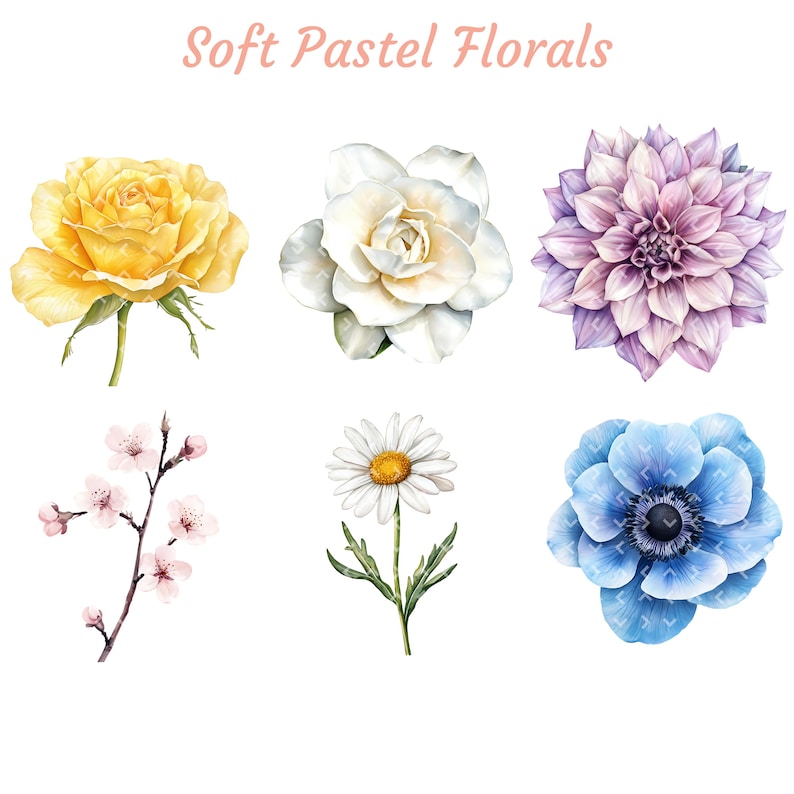 Floral Watercolor Png Clipart Set Soft Pastel Flowers Digital Flower ...