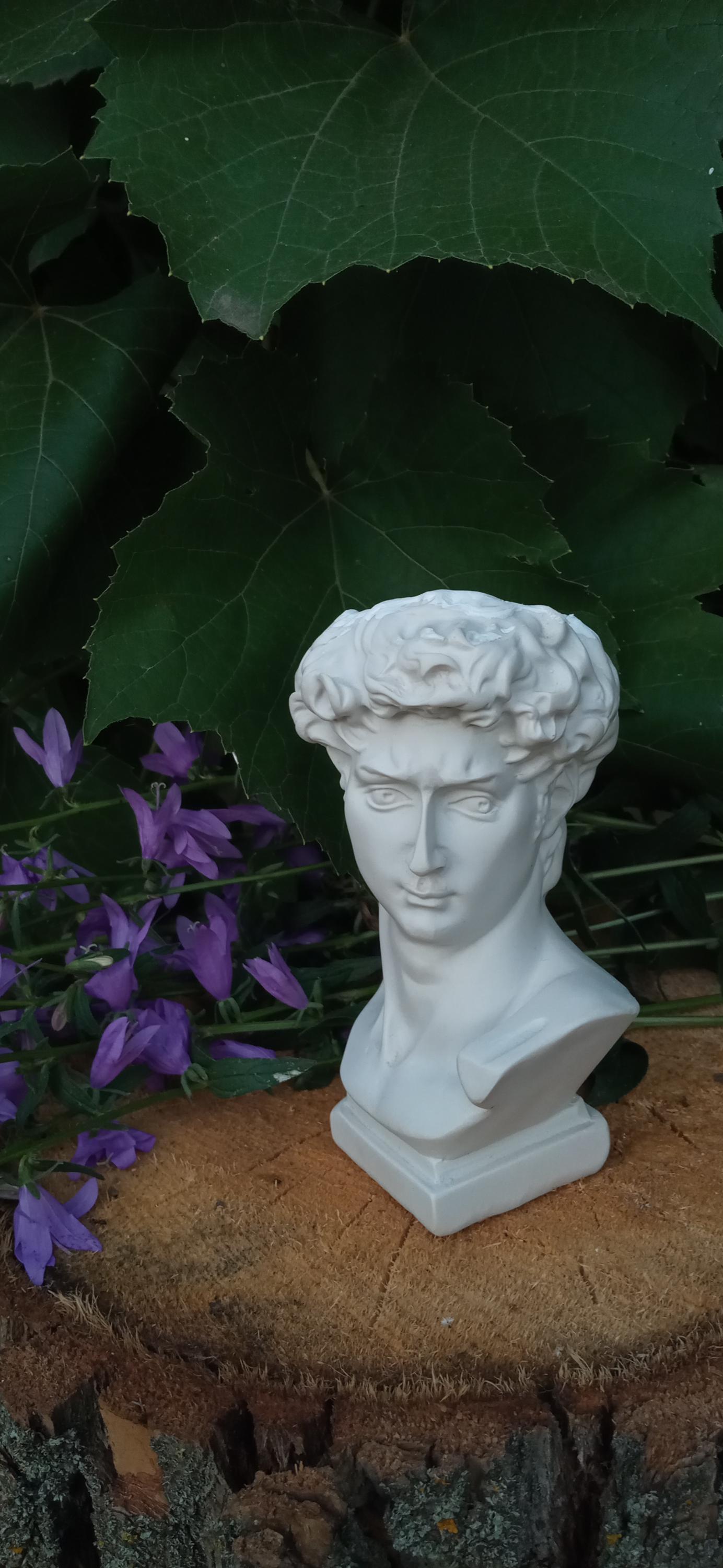 David Bust Planter-gypsum Statue Pot, Small Greek Sculpture Vase, Home ...