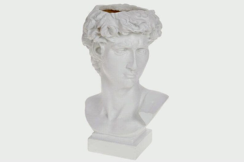 David Bust Planter-gypsum Statue Pot, Small Greek Sculpture Vase, Home ...