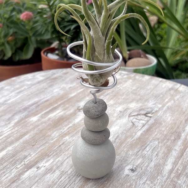 Airplant Stand - Etsy