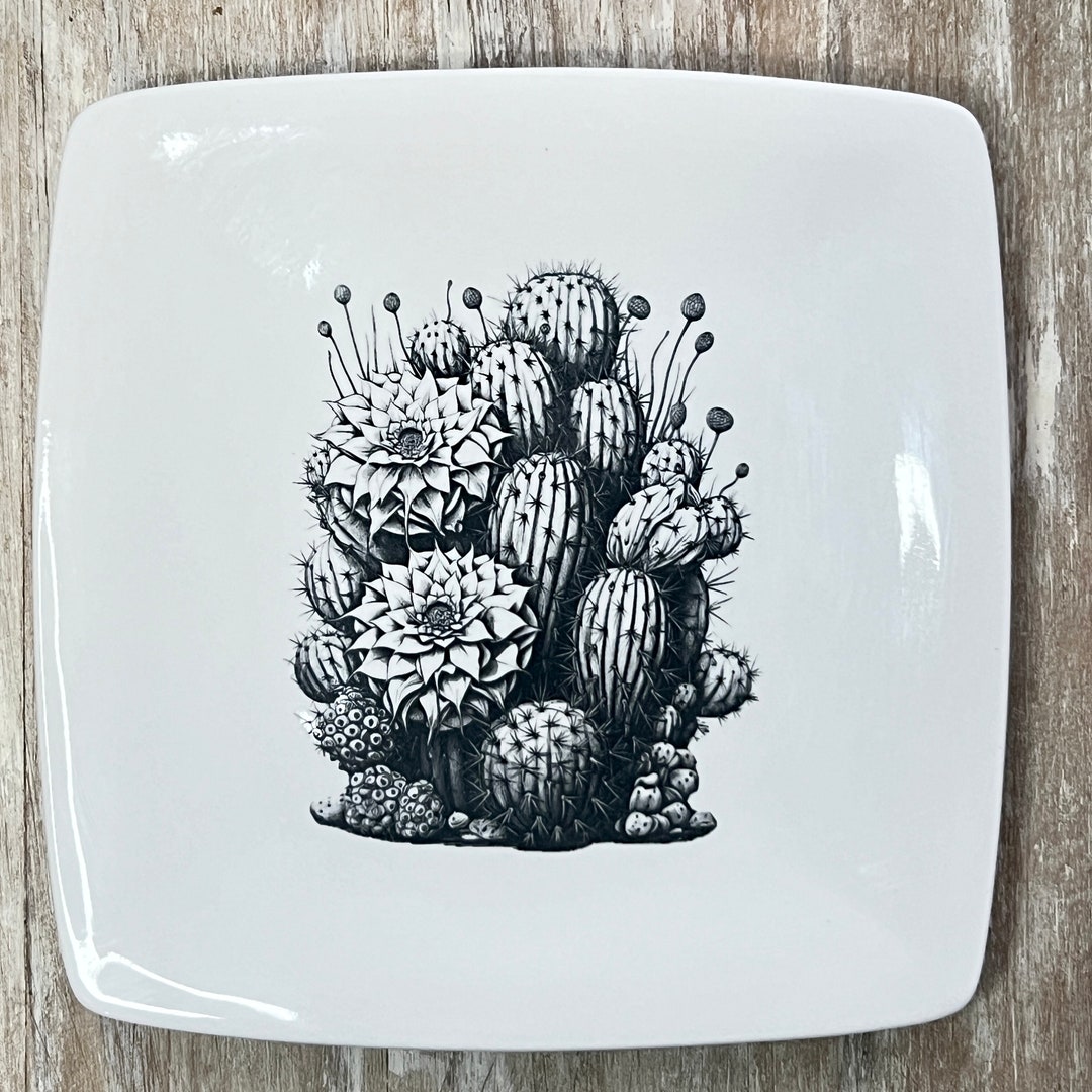 Succulent Drawing Cactus Art Print 8x8 Decorative Hanging Plate for ...