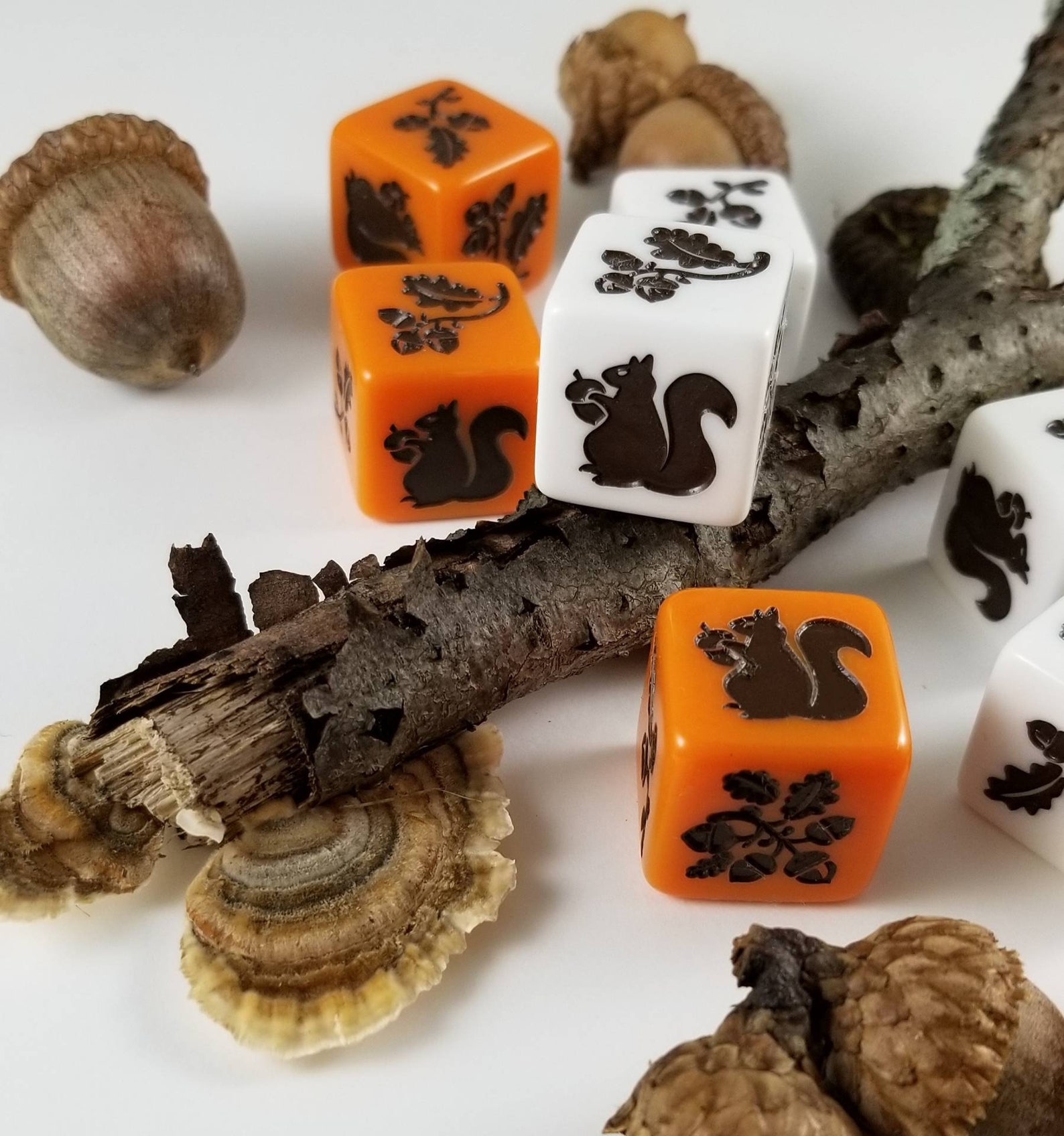 Acorn Dice / Set of 2 / D6 Squirrel Fall Autumn | Etsy