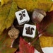 Acorn Dice / Set of 2 / D6 Squirrel, Fall, Autumn - Etsy