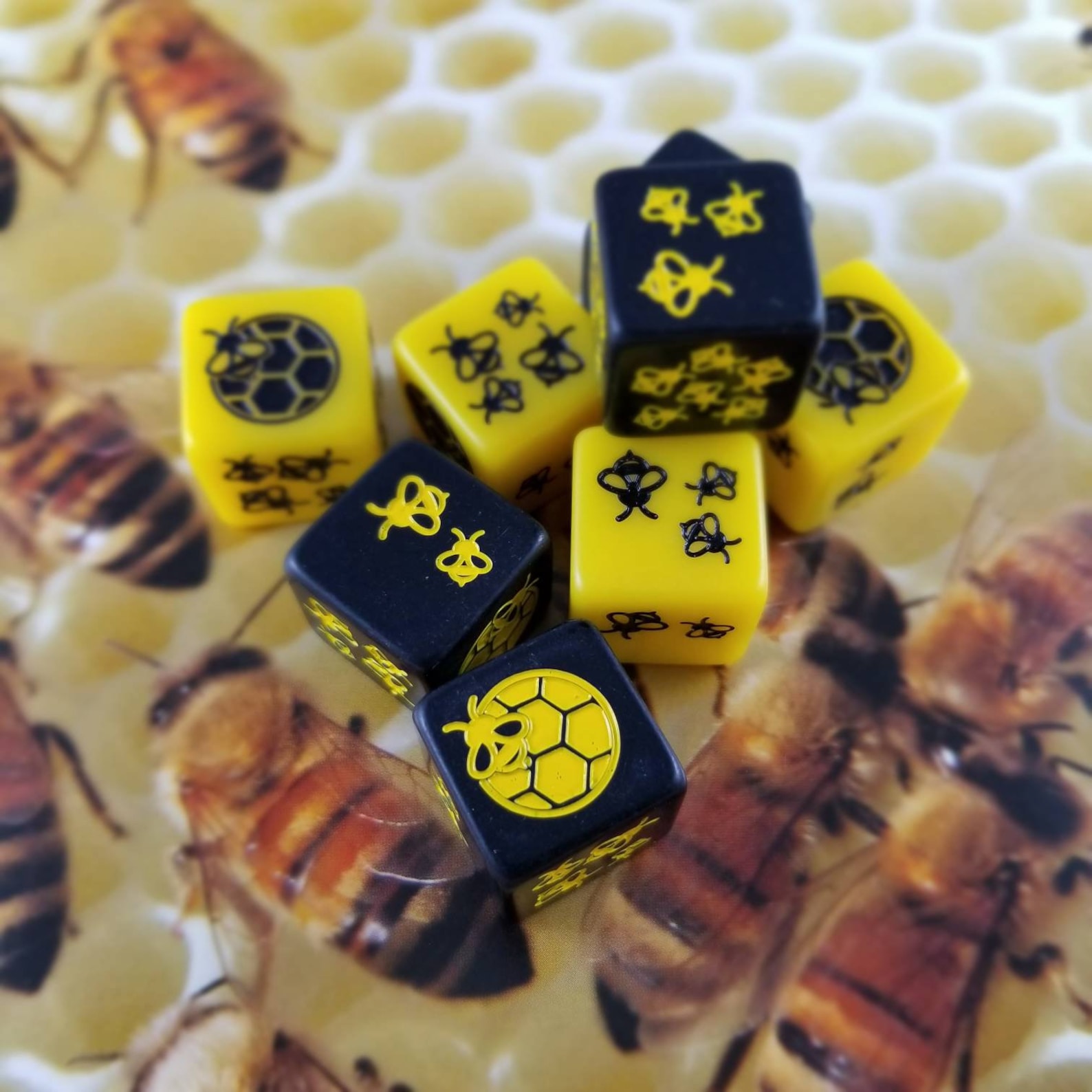 Bee Dice / Set of 2 / D6 Bug Insect Honey - Etsy