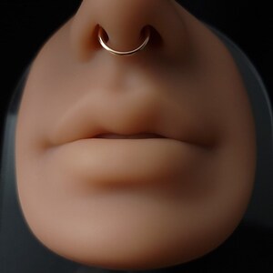 Septum D Ring 14k Rose Gold Filled 18g 16g 14g Seamless 3/8" for Septum, Nostril, Tragus ...