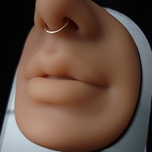 Septum D Ring 14k Rose Gold Filled 18g 16g 14g Seamless 3/8" for Septum, Nostril, Tragus ...