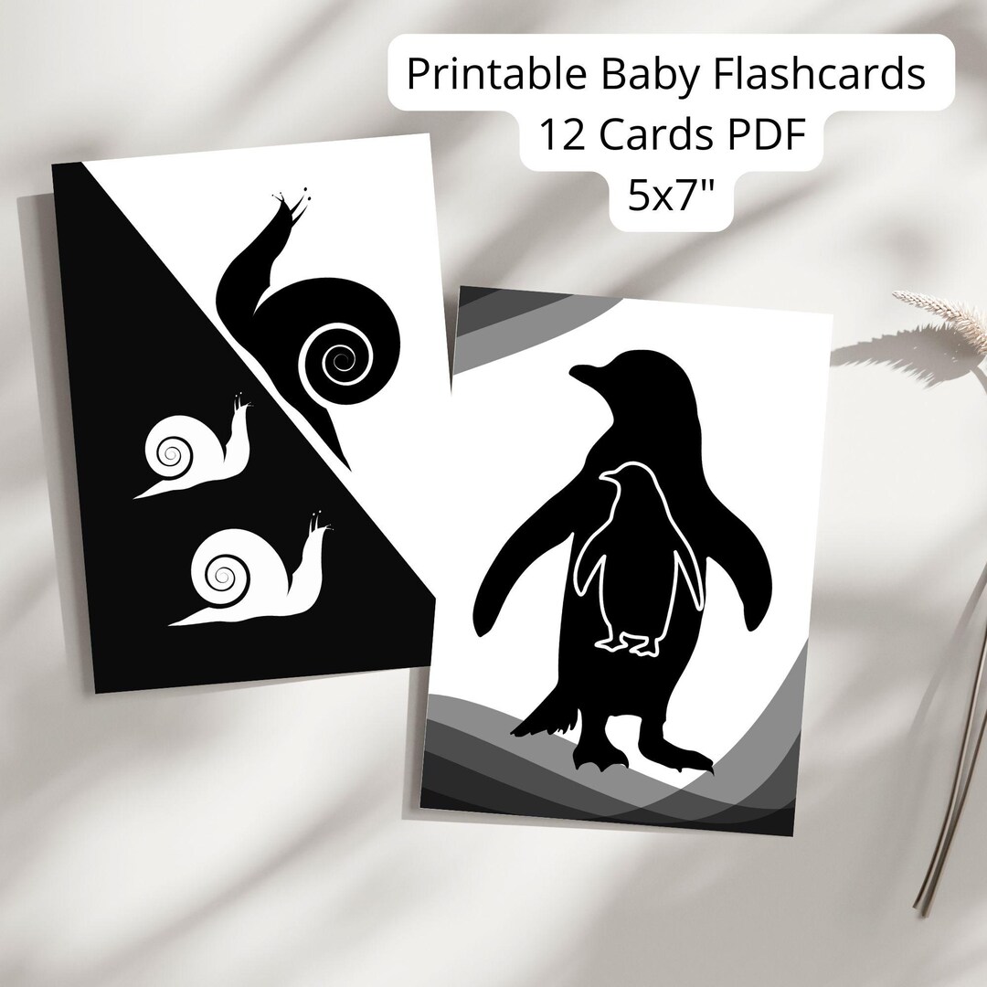 High Contrast Baby Flashcards | Black & White Newborn Visual ...
