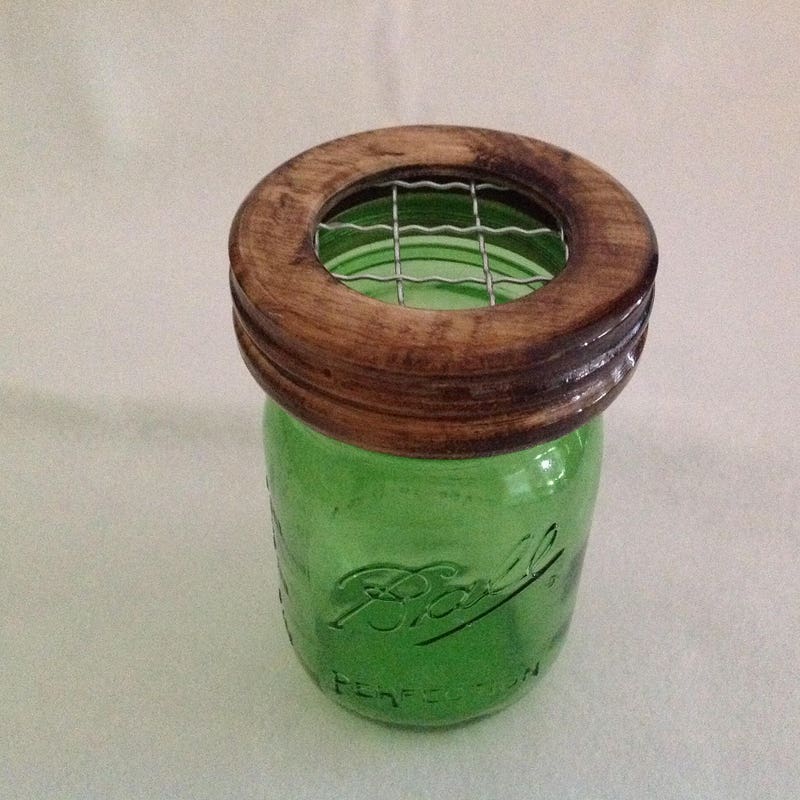 Mason Jar Frog Lid - Etsy
