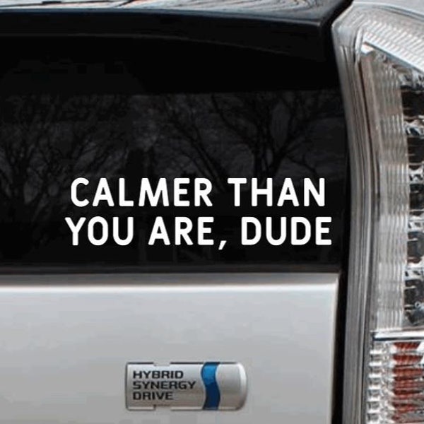 The Dude Bumper Sticker - Etsy