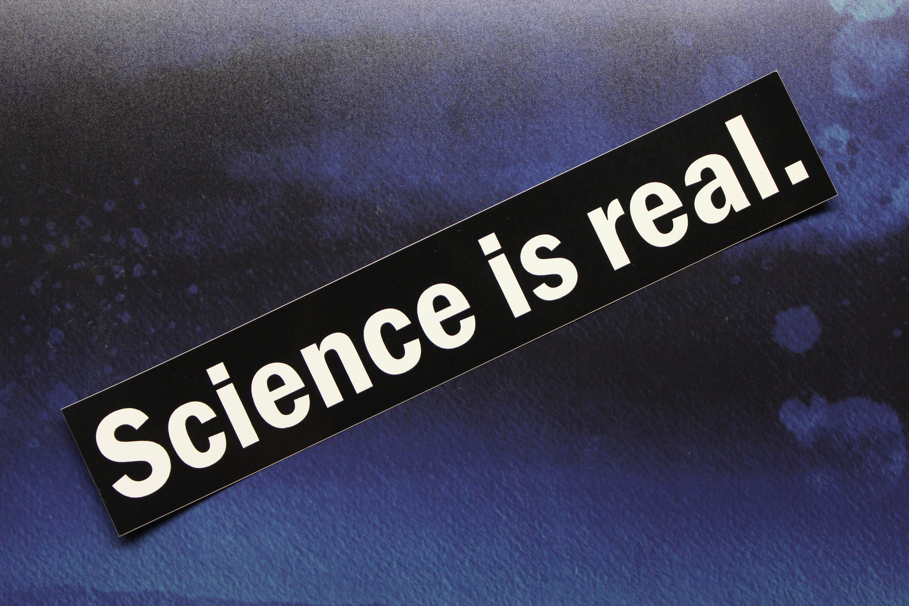 Science is Real Vinyl Bumper Sticker Car Bike Guitar Laptop - Etsy