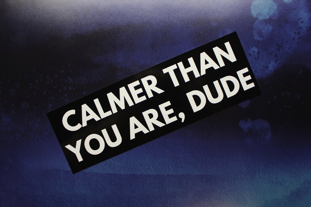 Calmer Than You Are, Dude Vinyl Sticker - Etsy