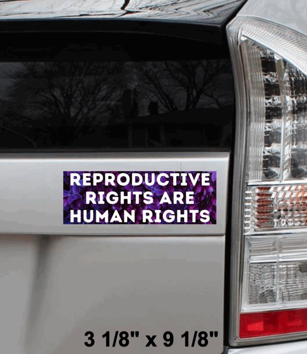 Reproductive Rights Are Human Rights Vinyl Bumper Sticker - Etsy