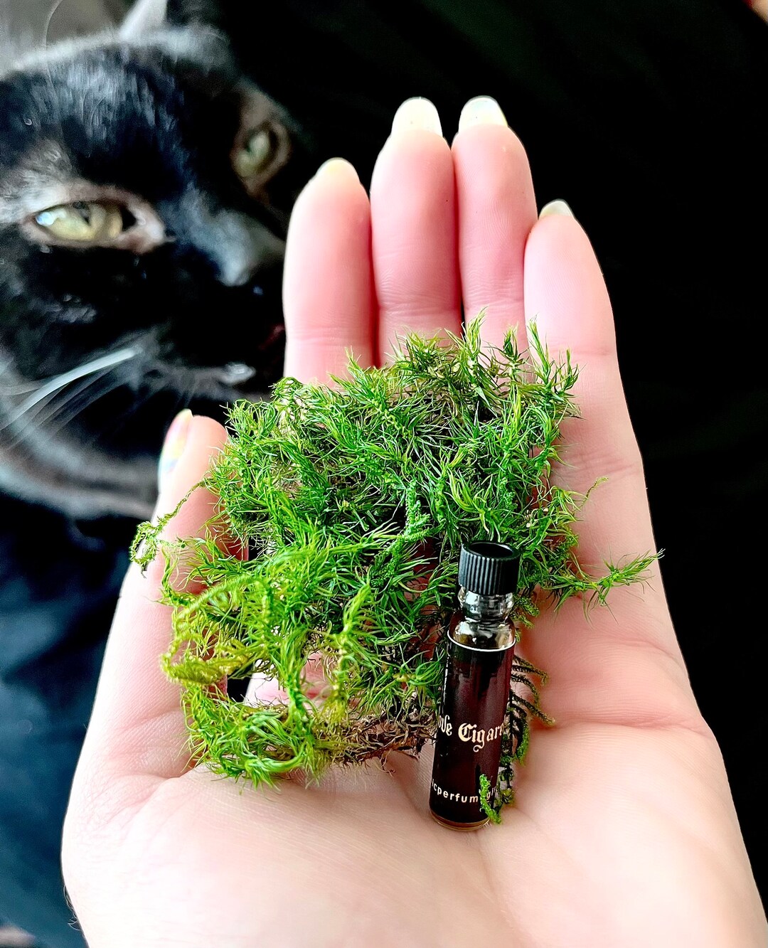 One BOTANICAL PERFUME SAMPLE / Pick One 1.5 Ml | Artisan Perfume Sample ...