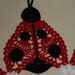 Ladybug Doily Crochet Pattern - Etsy