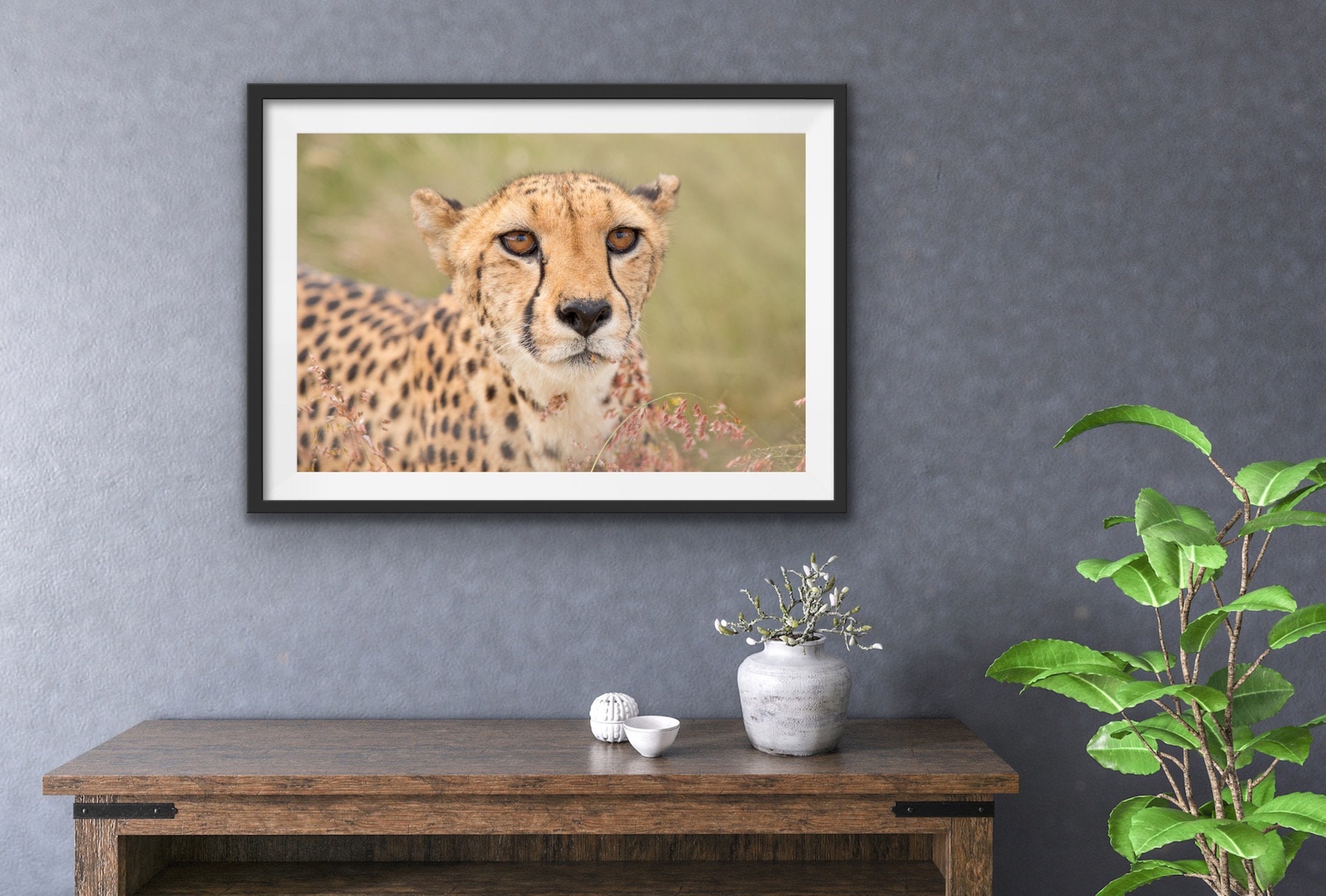 Cheetah | Fine Art Photography Print | Wildlife Art | Cheetah Photo ...