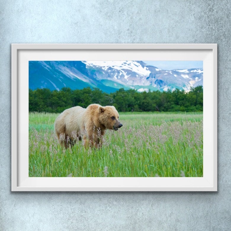 Impresión de fotografía de oso / Arte animal / Impresión de fotografía ...