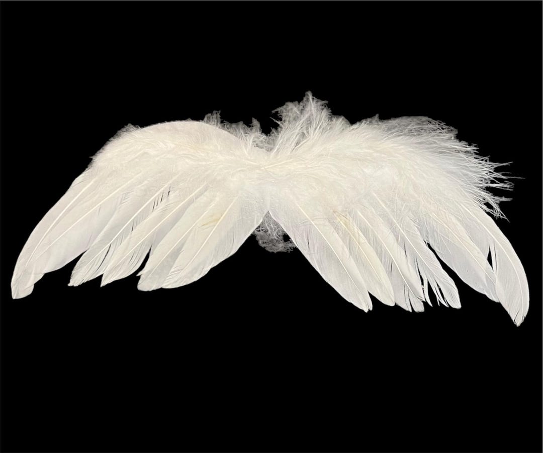 White Feather ANGEL WINGS 7" X 2.5" Extra Small Size by Cheswickcompany ...