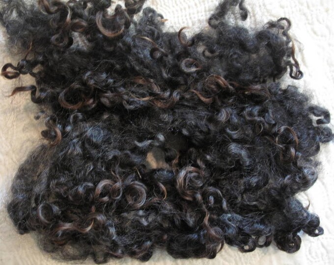1 Ounce Beautiful Curly Washed Sheep's Wool Locks by Cheswickcompany ...