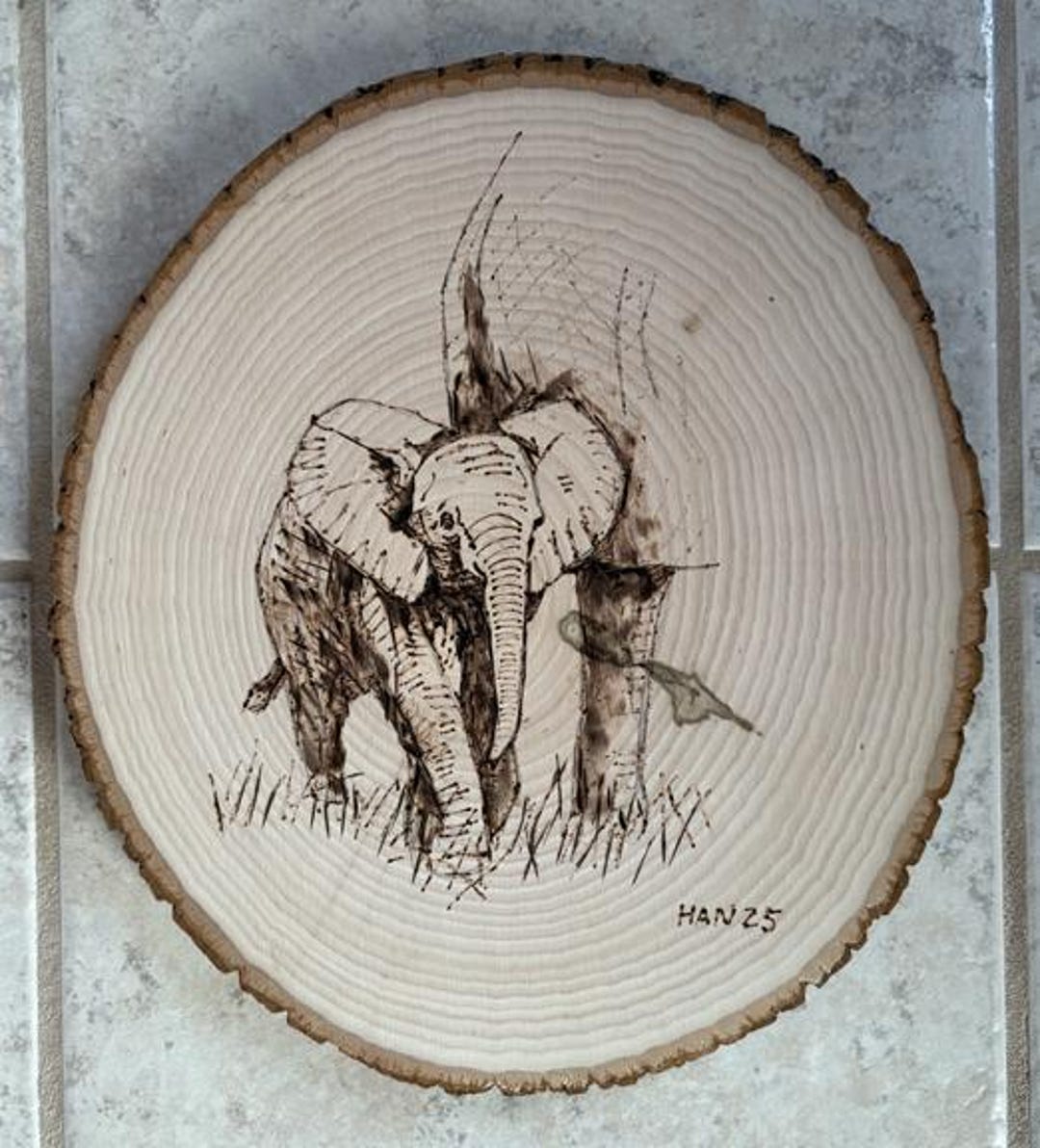 Elephant Baby, Animal, Original Wood Burn Drawing on Wood, 11"x12.5 ...