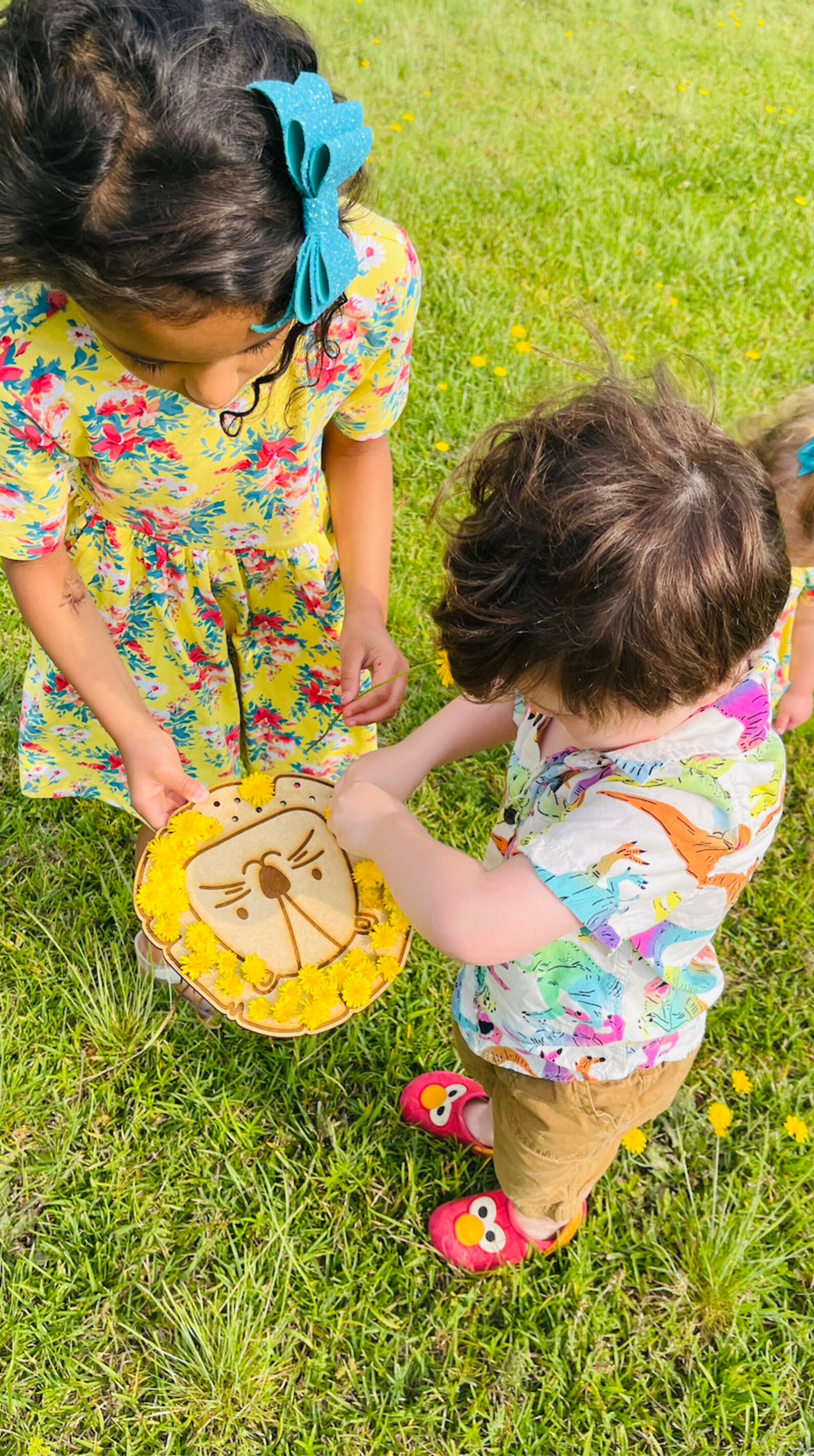 DANDI-LION 3-D SVG for Laser Cutters - Glowforge / Omtech / Xtool - Etsy