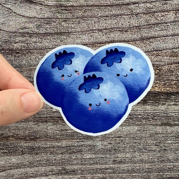 Fruit Stickers - Etsy