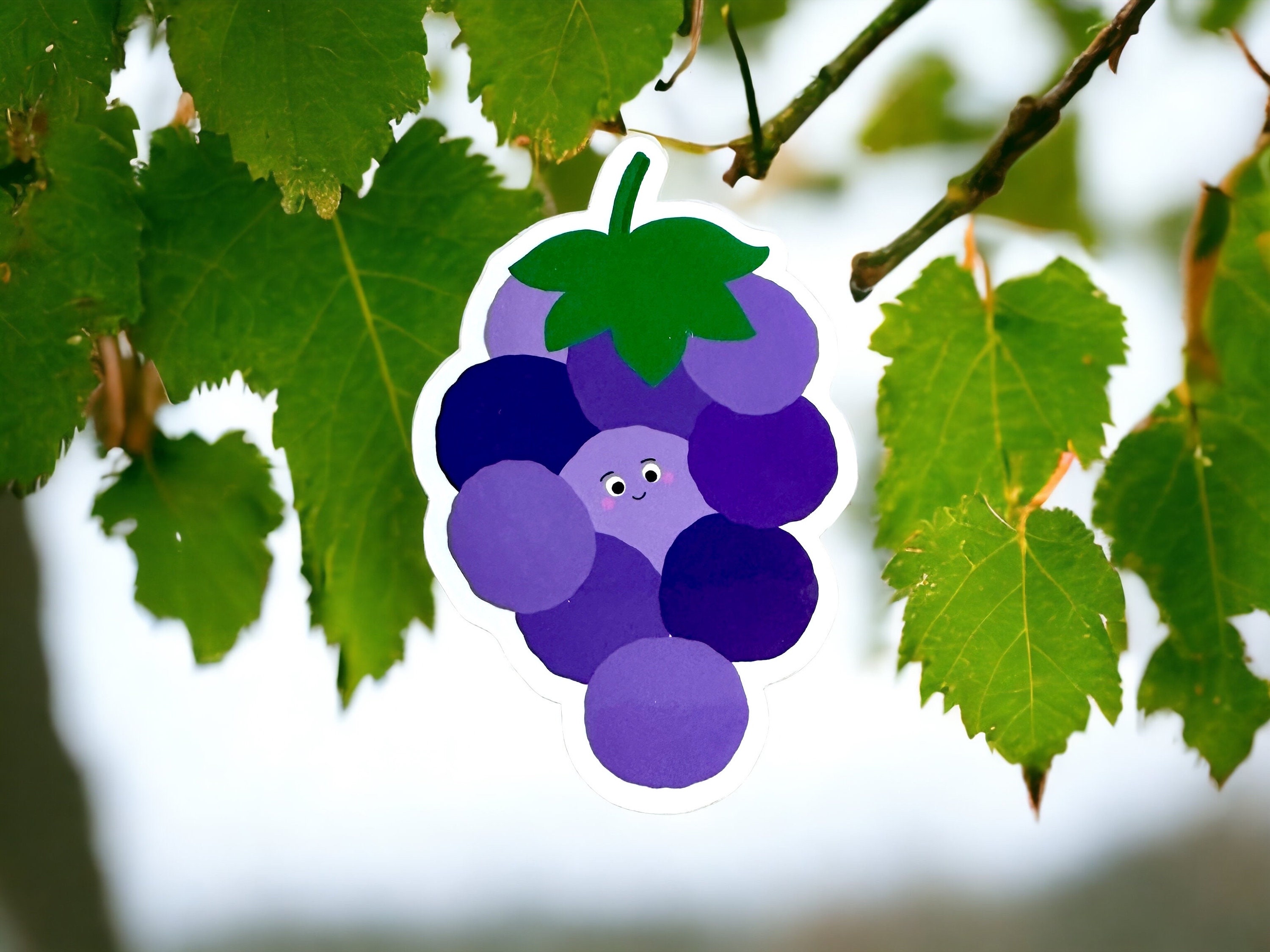 Joseph's Grape Sticker, Kawaii Fruit Sticker, Food Stickers, Cute ...