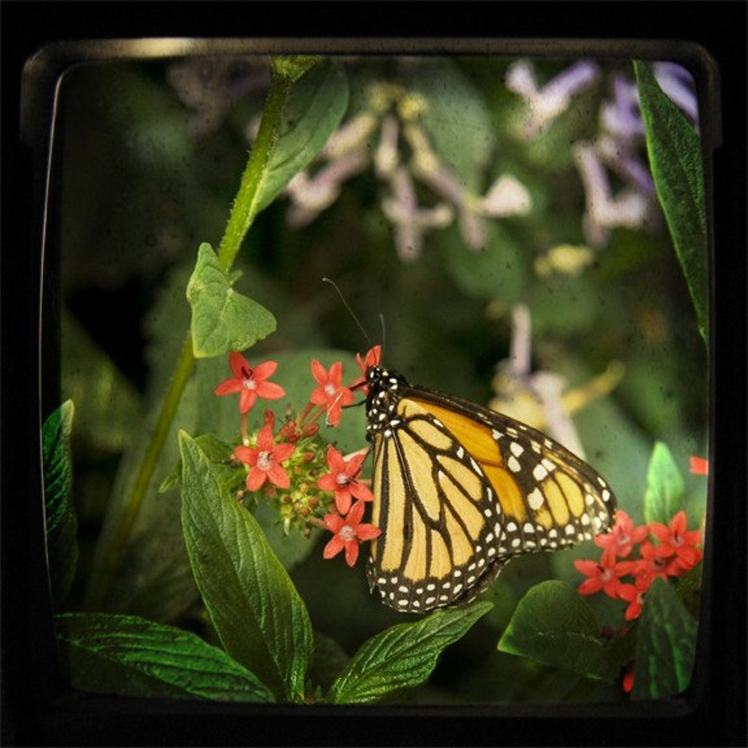 5x5 Print - Inside Your World - Etsy