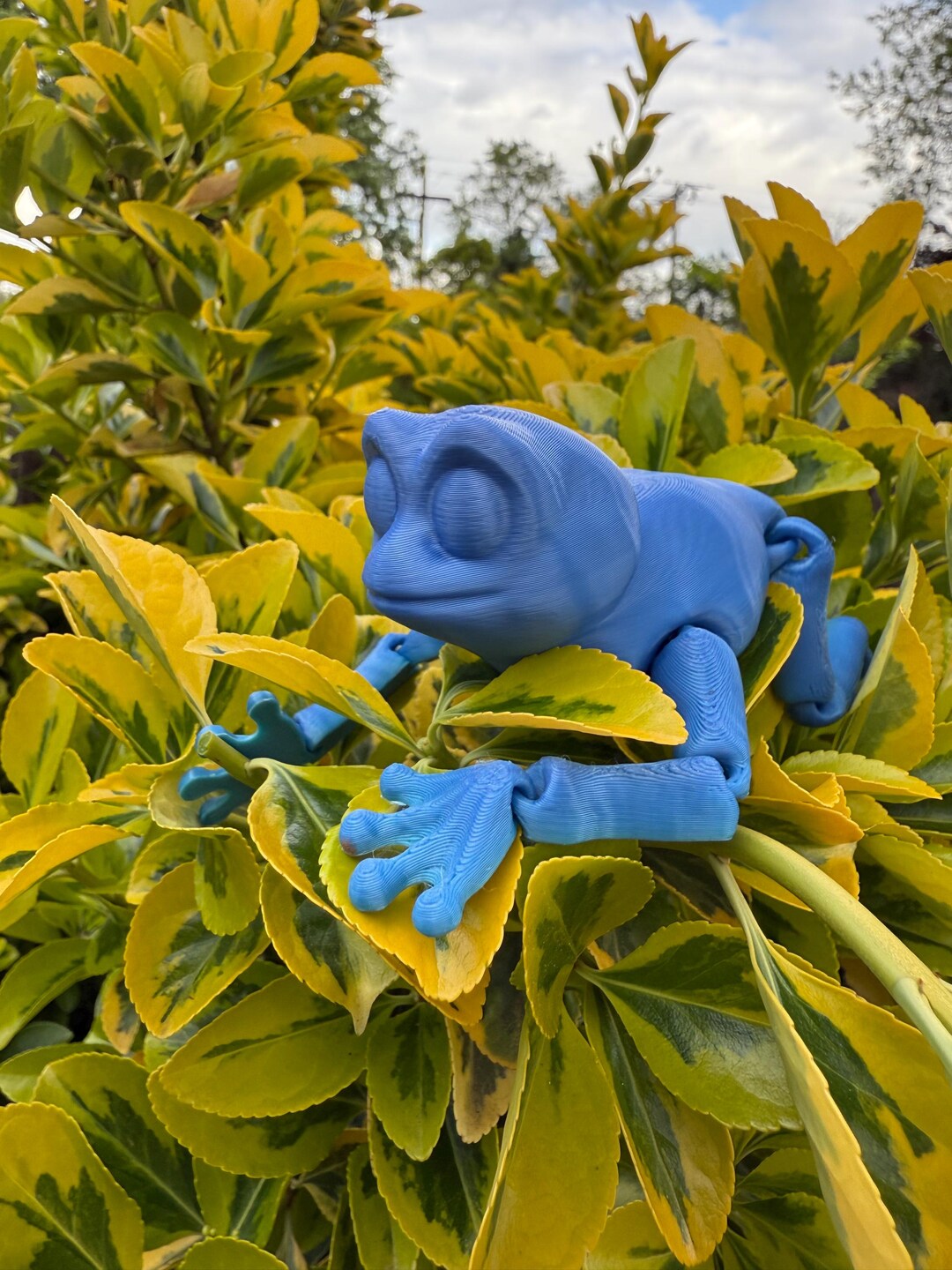 3D Printed Tree Frog- Articulated- Multiple Colors Available - Etsy