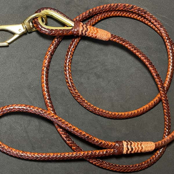 Braided Leash - Etsy