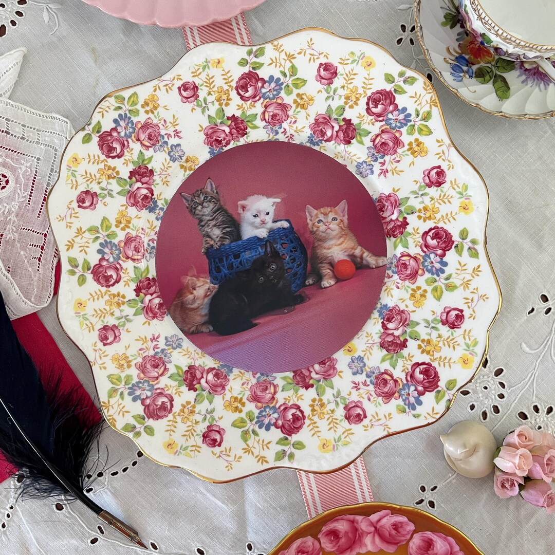 3D Lenticular Porcelain Cat Plate. Magical Wizard Decor. - Etsy