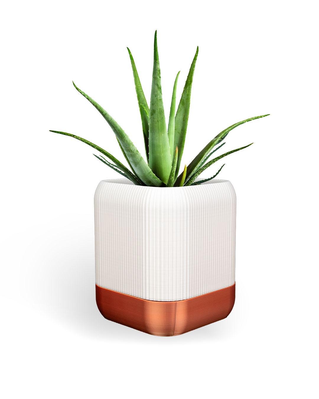 QUADRA Self-watering Planter – Modular Pot With Reservoir | Carefree ...