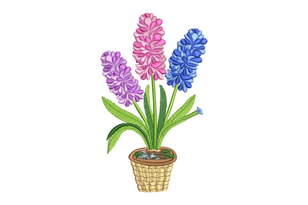 Beautiful Hyacinth Embroidery Design, Beautiful Hyacinth Machine ...