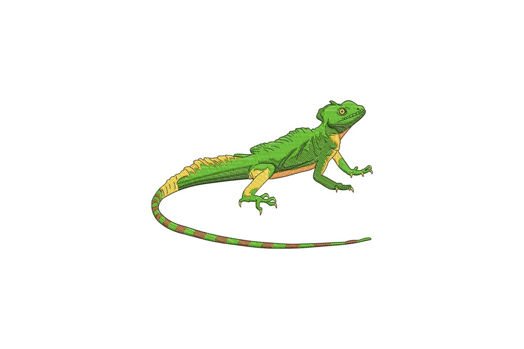 Colorful Lizard Embroidery Design, Lizard Machine Embroidery Design, 4 ...