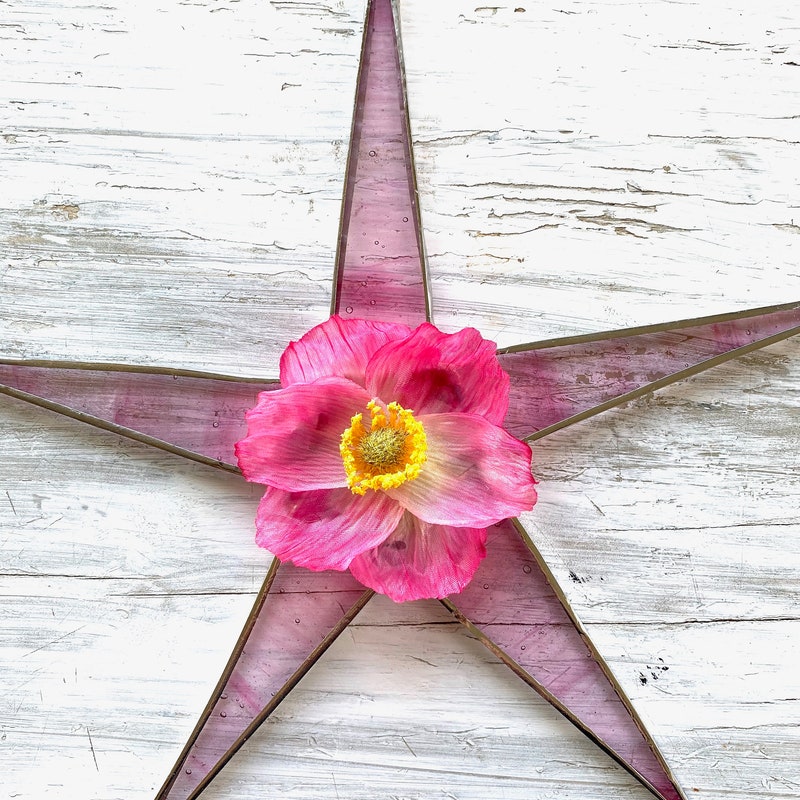 Piggy and Dirt Star - Etsy